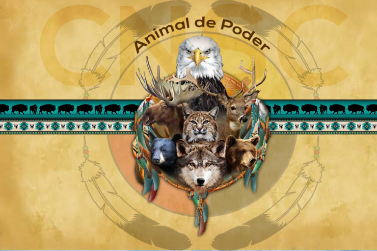 Ritual de Reconhecimento e Invocação dos Animais de Poder - Animais de ...