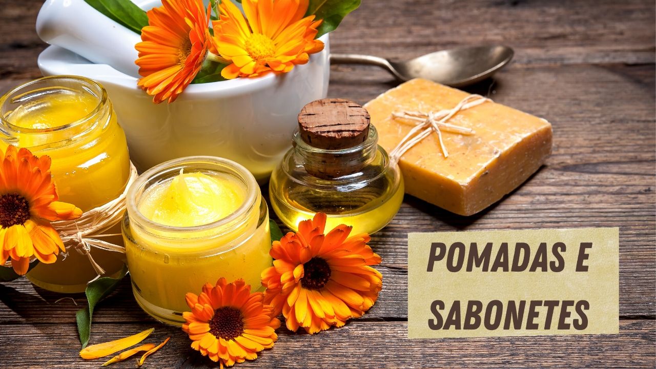 Plantas Medicinais - CNSC