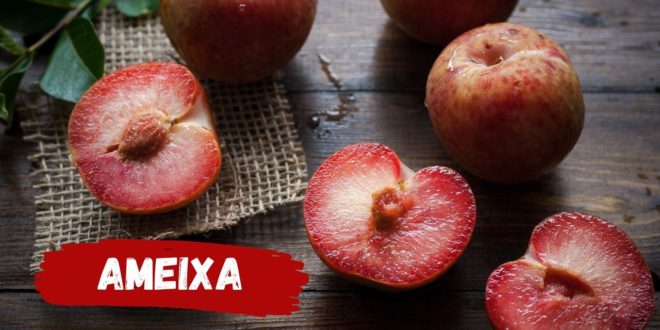 Ameixa - CNSC