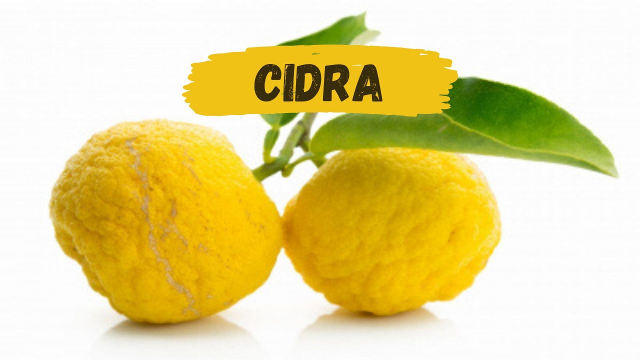 Frutas que Curam - Céu Nossa Senhora da Conceição